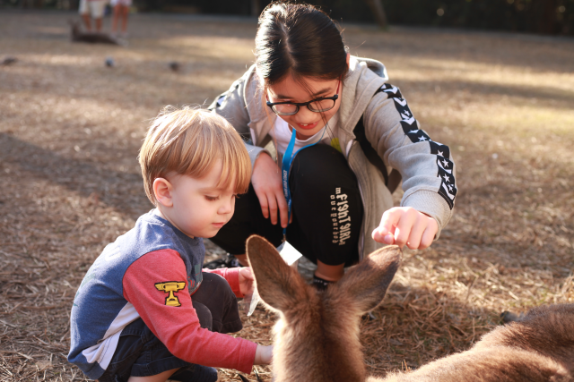 Study Match connecting cultures | Jimboomba Today