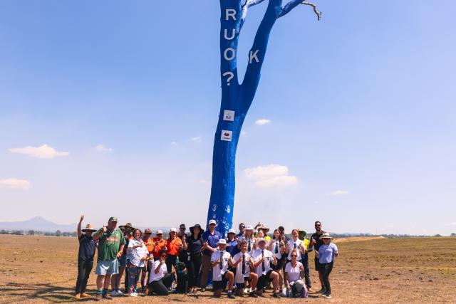 Trees painted blue in ‘eye catching’ mental health campaign | Jimboomba ...