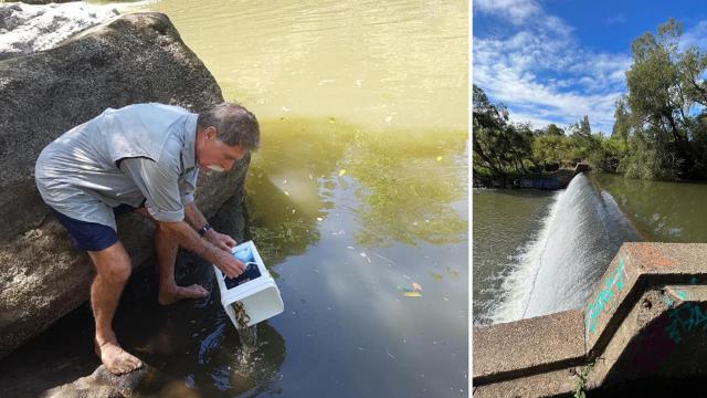 'It's a load off my mind': Man's 20 plus year fight to demolish ...