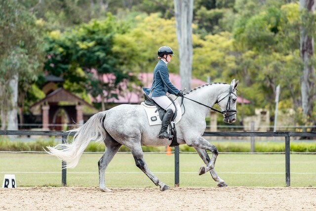 Major half a million dollar undercover horse riding arena coming to North MacLean | Jimboomba Today