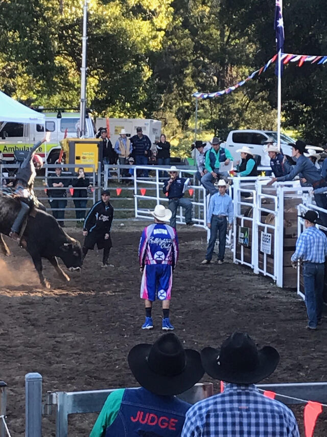 Canungra rodeo rocks again | Jimboomba Today