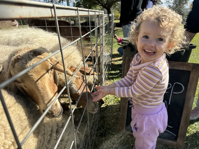 Visitors hit the farm gate trail | Jimboomba Today