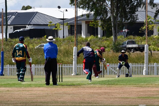 Bushies are back at it again | Jimboomba Today
